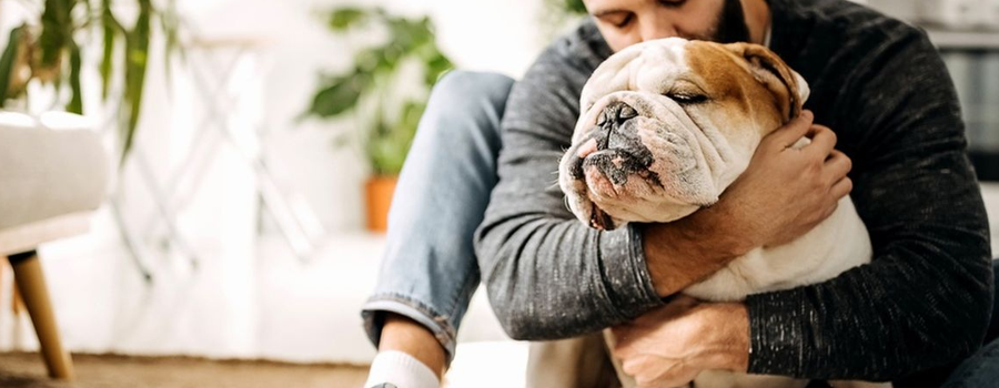 The Ultimate Guide to Being the Perfect Dog Parent: Tips for a Lifetim ...