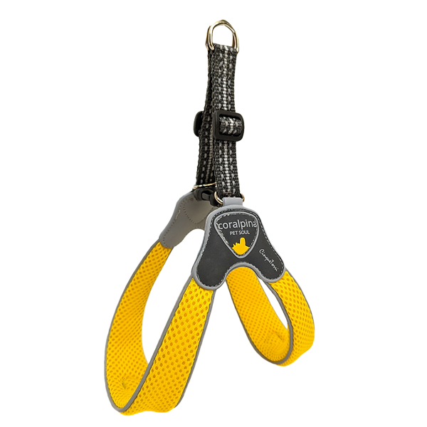 Coralpina Harness, Leads and Collars – Doghouse Cafe